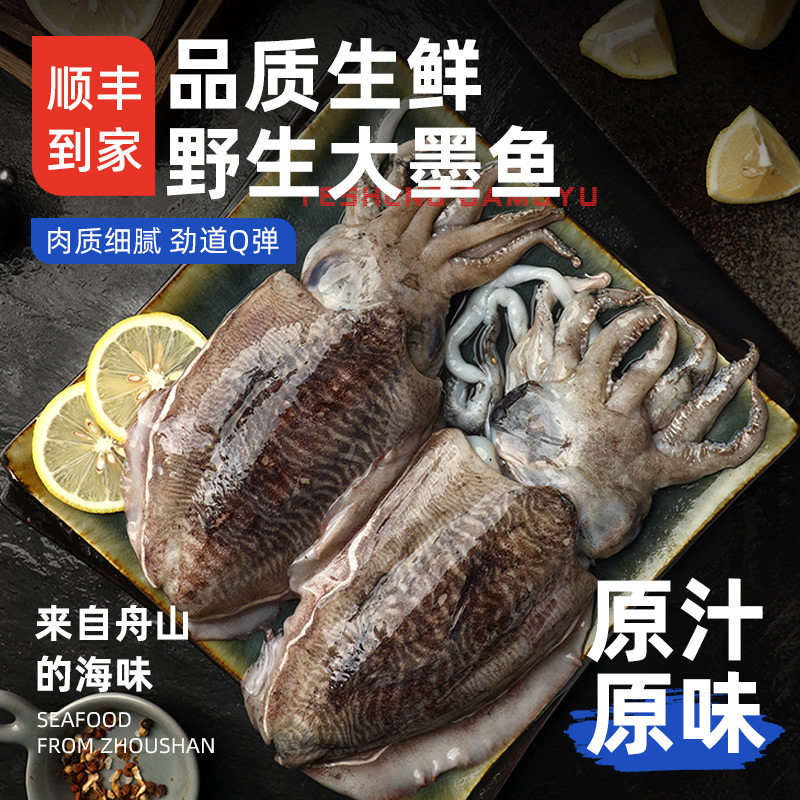 舟山大墨鱼墨鱼仔大号新鲜冷冻目鱼乌贼花枝海鲜水产