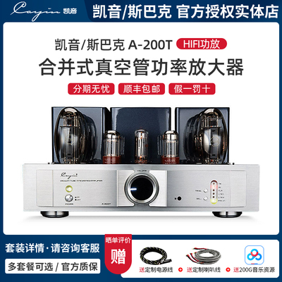 Cayinhifi合并式电子管胆机功放