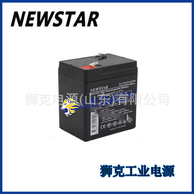德国WING蓄电池BTX12-120LS免维护铅酸12V120AH机械应急备用电源