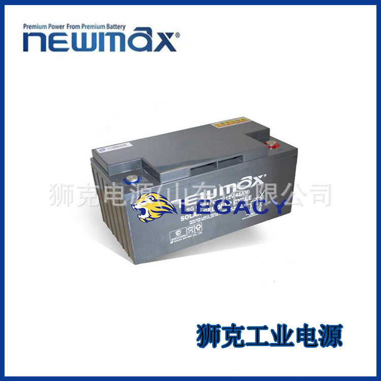 韩国NEWMAX蓄电池PNC12420仪器仪表12V42AH船舶应急储能系统