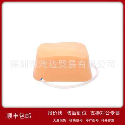 美国CAE BPLP2201腰椎和硬膜外置换插入物【议价】议价