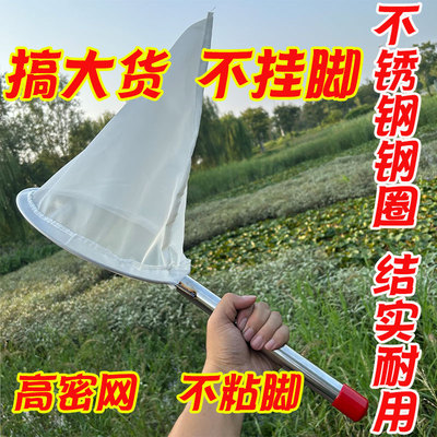 不锈钢虎头蜂金环马蜂泡酒捕蜂