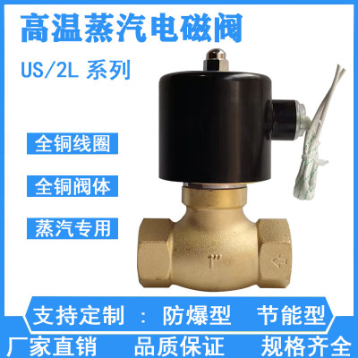 全铜高温蒸汽电磁阀控制电阀2LUS