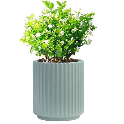 新款陶瓷花盆北欧简约