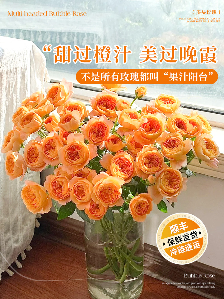 多头玫瑰花鲜花云南基地直发顺丰次日达包邮真花卉鲜切花家用插花