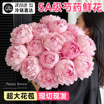 【5A特级】芍药鲜花云南基地直发