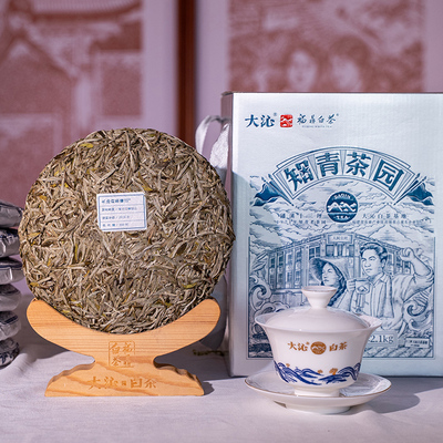 大沁福鼎白茶2026知青白毫银针饼