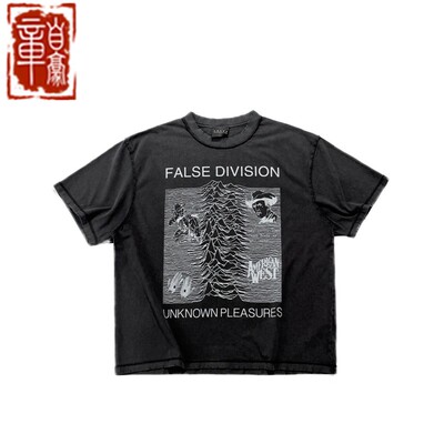 False黑白山脉短袖T恤