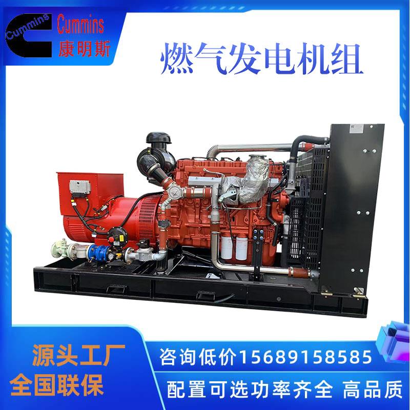 燃气发电机组20KW50KW100KW200KW双电压全铜节能应急沼气发电机组
