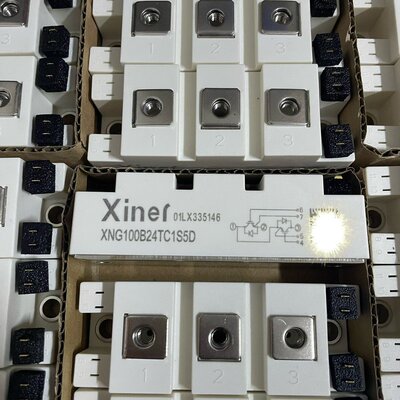 XNG 模块XNG100B24TC1S5DBSM100GB12XNG100B24TC1S5D BSM100GB12