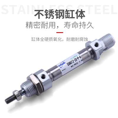 DSNU笔形迷你气缸不锈钢10-12-16-5-20-35-40x50*100-125-200-P-A