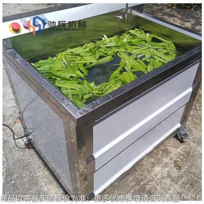 机械单缸OCD洗菜机洗食小型果蔬清洗机洗油机菜堂辣椒果机