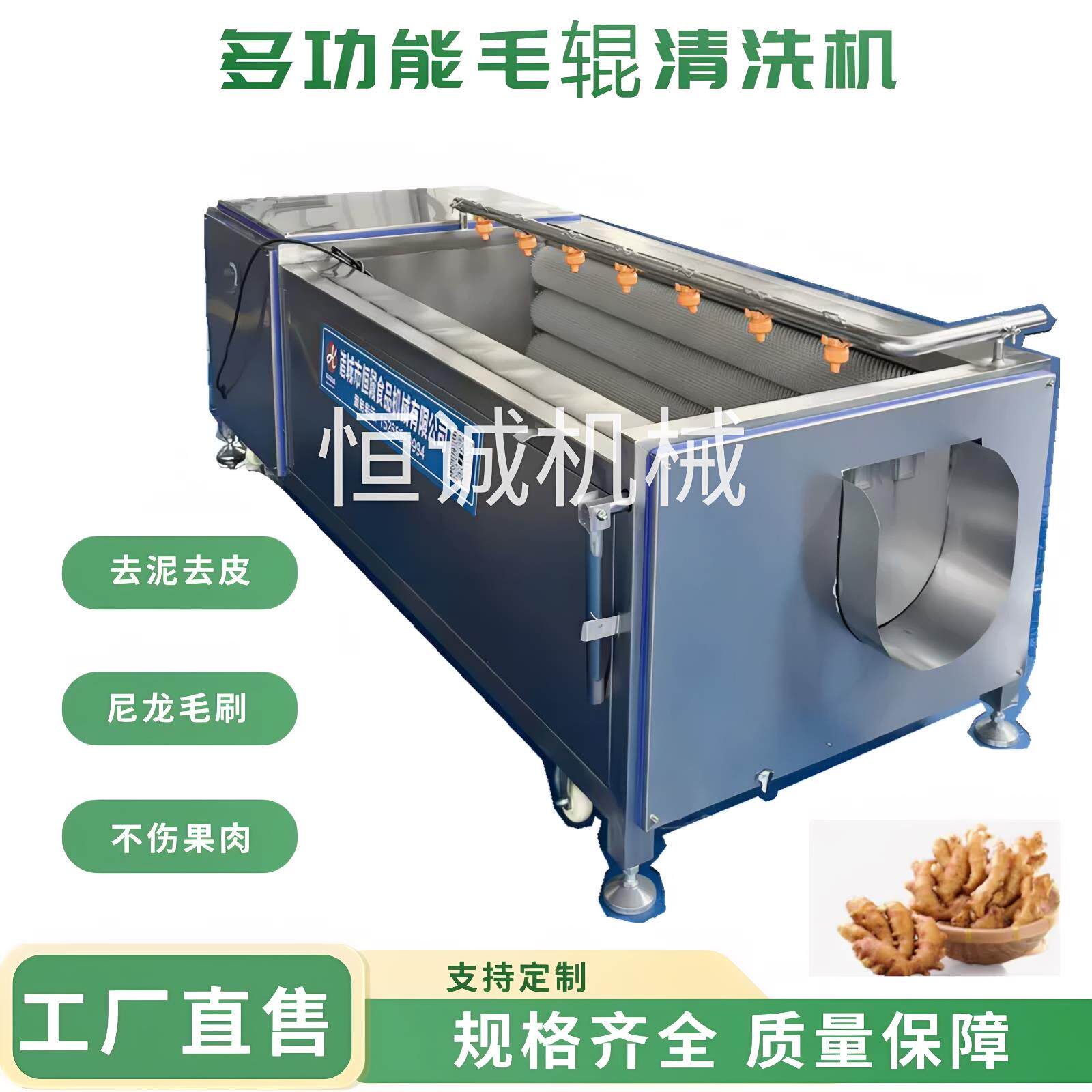 全自动毛辊清洗机商用莲藕土豆去皮机马蹄仔姜生蚝商用清洗去皮机