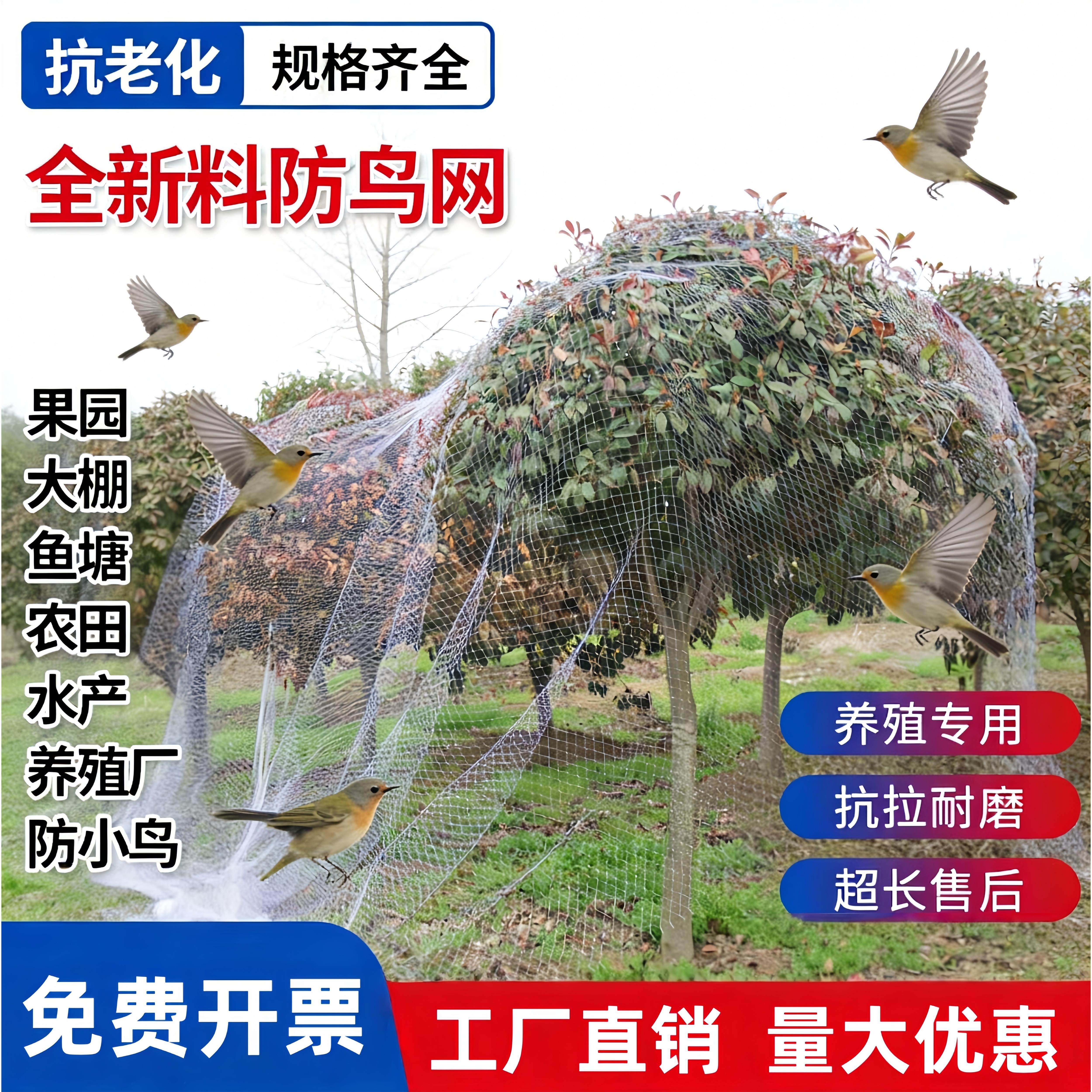 果树防鸟网养殖专用果园鱼塘农用防护网大棚抗老化水果植物保护网