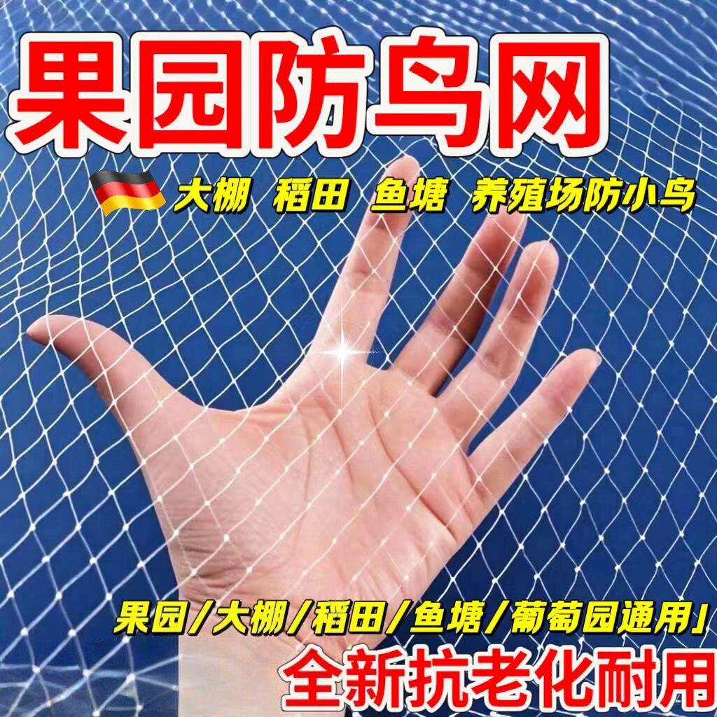 果园防鸟网果树大棚尼龙线防鸟网阳台樱桃树葡萄窗户鱼塘防鸟专用