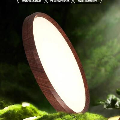雅亮全光谱护眼卧室吸顶灯日式复古胡桃木色创意儿童房书房灯具