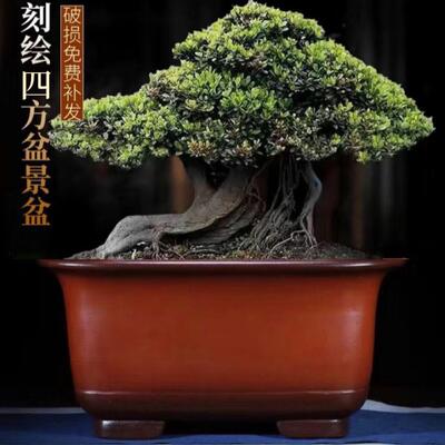 宜兴紫砂花盆四方形盆景盆陶种树瓷缸庭院紫砂盆景特大号大型正方