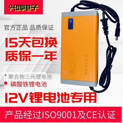 12.6V6A 12.6V10A锂电池充电器 12V50A40A60A80A100A锂电池充电器