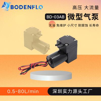 直流无刷微型气泵3L-7L用于打气加压的3bar小型空气压缩机低噪音