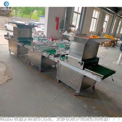 全自动卉穴盘种机播 泡沫盘塑料种盘育苗机 花苗木蔬BRR菜种子植