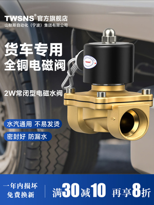 TWSNS台气山耐斯2w常闭电子电磁阀货车淋水器4分DC24V水阀AC220V