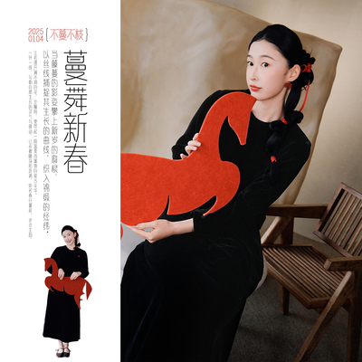 不蔓不枝【月潮】真丝丝绒改良旗袍裙长款连衣裙新中式盘扣立领冬