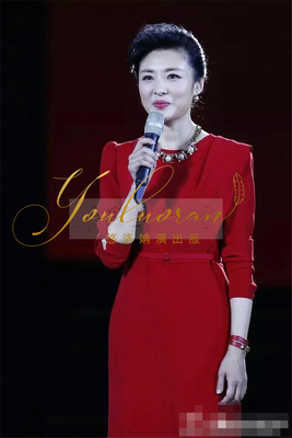 定制周涛司仪端庄大方风晚会礼服