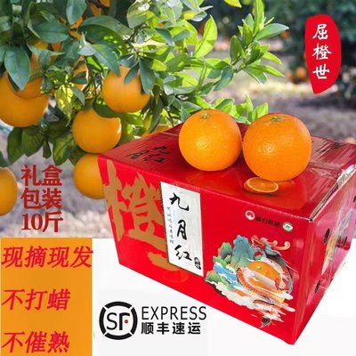 果冻橙秭归果冻橙秭归脐橙顺丰