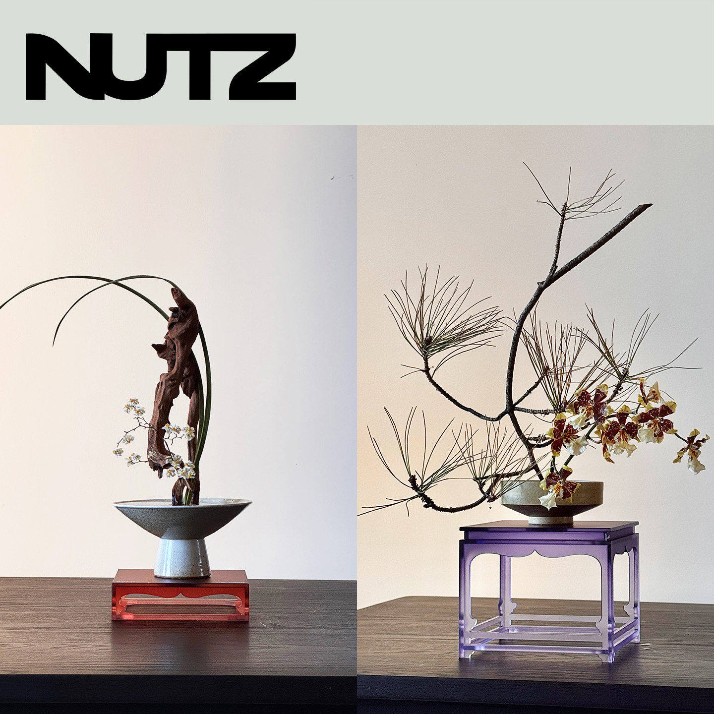 NUTZ新中式置物展台植行力古玩手办收纳摆件桌面古风陈列架摆放