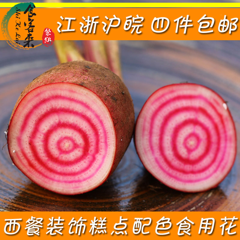 新鲜餐饮装饰迷你条纹甜菜头 罗纹 西餐日料冷菜江浙沪皖四件包邮