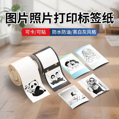B21Pro/B1Pro/B2Pro图片打印纸