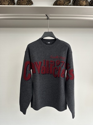 Cavalli Class 25秋冬新款 男士时尚字母印花套头毛衫CM032E3418