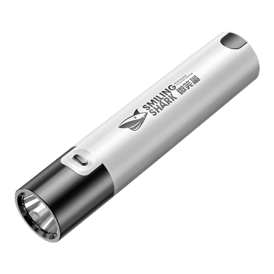 强光迷你便携手电筒野营灯