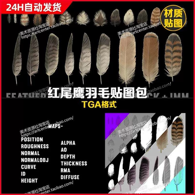 SubstancePainter红尾鹰羽毛麻雀羽毛材质球sp黑羽毛纹理贴图羽毛