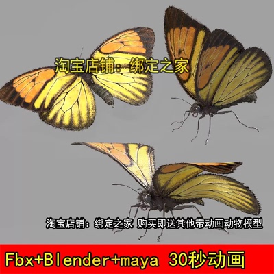maya影视蝴蝶模型次世代昆虫法线贴图30秒动画fbx骨骼动作blender