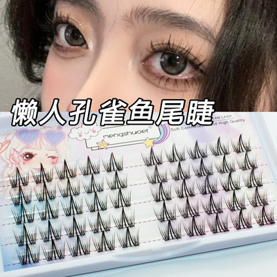 羽扇款懒人三部曲假睫毛孔雀鱼