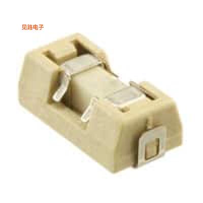 0154005.DRT -[原装一次性保险丝（熔断）FUSE_9.73X5.03MM_SM