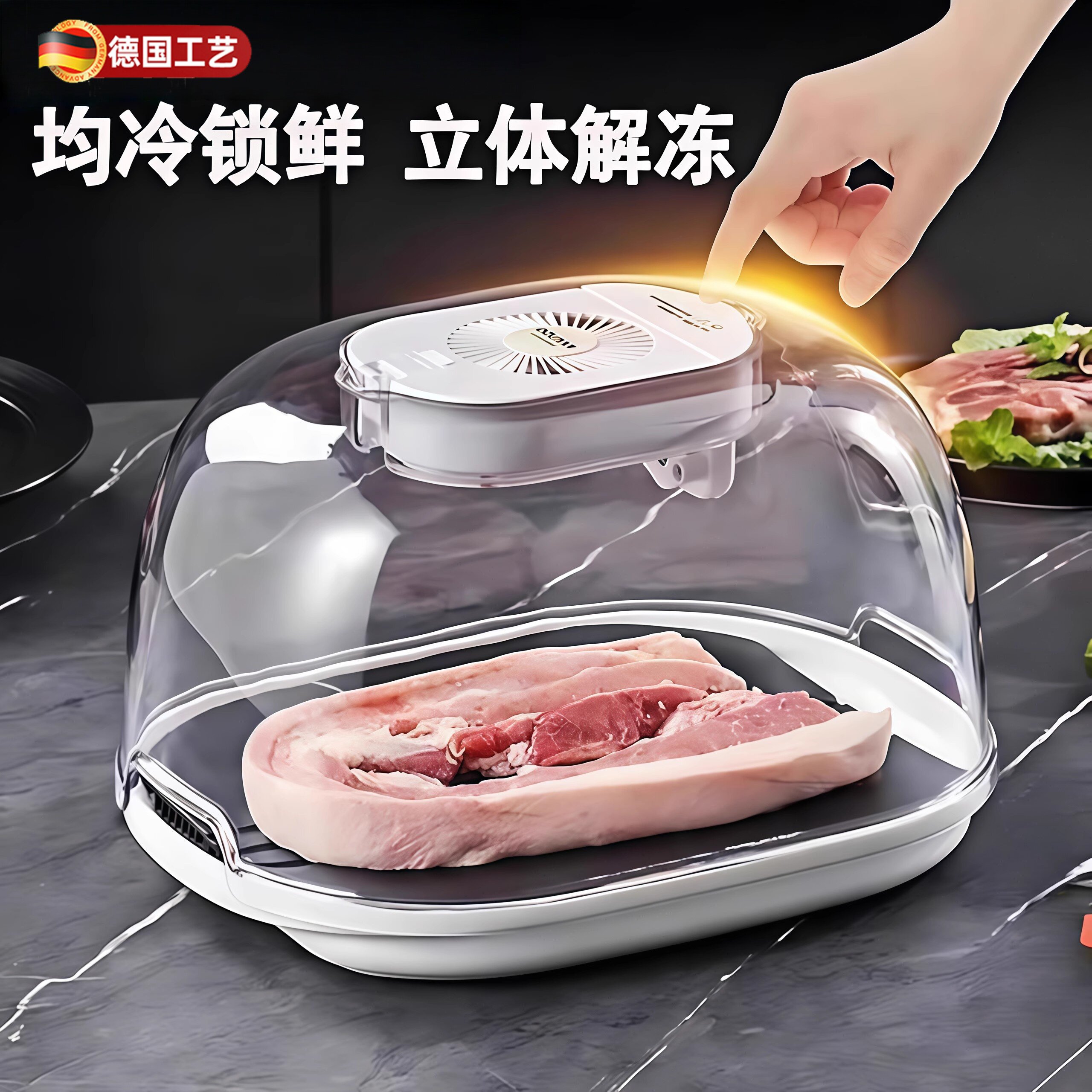 德国高品质解冻家用德国恒温多功能保鲜快速厨房解冻机紫外线沥水