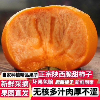 陕西特产柿子新鲜脆柿甜柿硬柿5斤时令无核脆皮即食不涩现摘新鲜