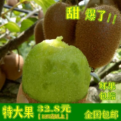 徐香特大果新鲜现摘绿心猕猴桃