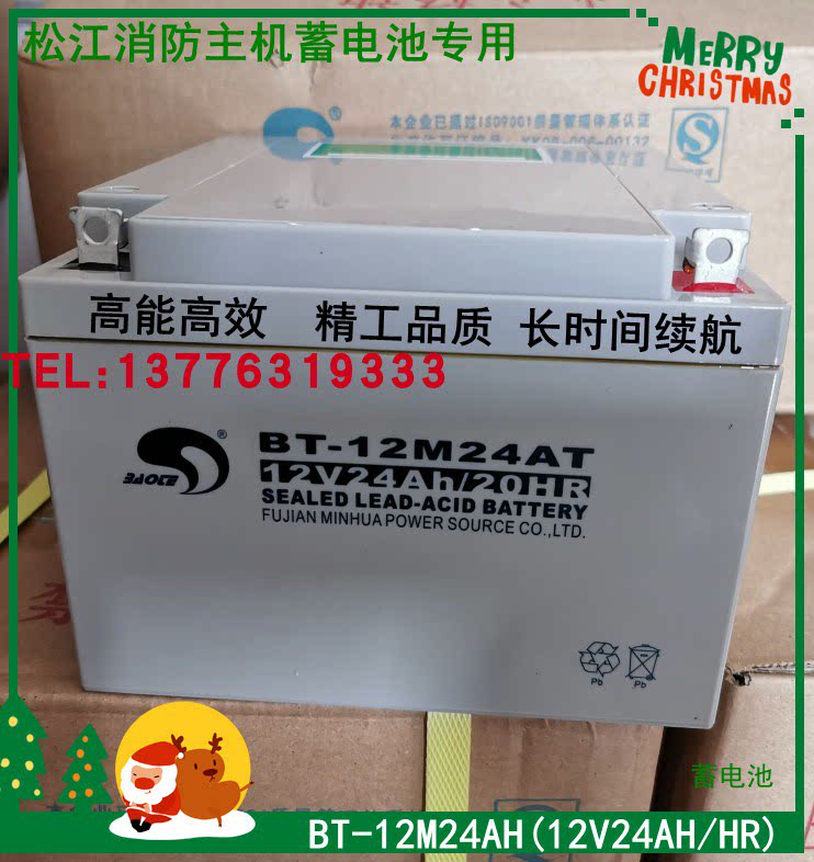 上海松江消防主机 青岛海湾消防主机专用蓄电池BT12M24AT 12V24AH