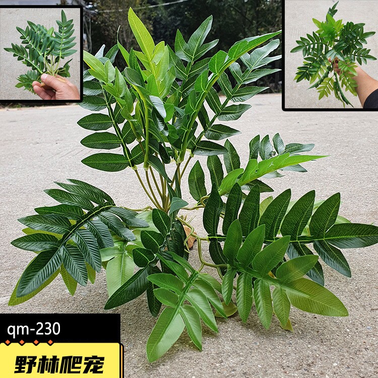 爬宠饲养箱仿真植物大造景玻璃雨淋缸造景雨林环境绿植生态缸造景