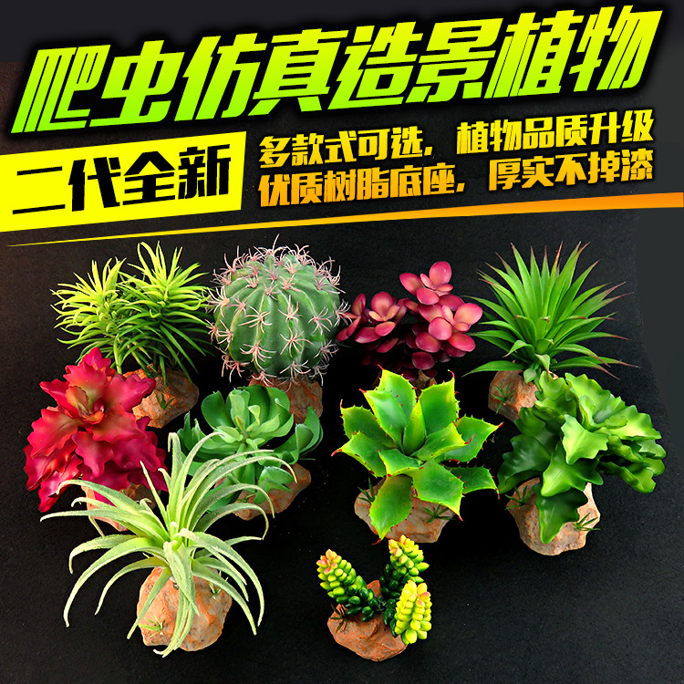 陆龟箱造景植物爬箱造景雨林缸生态造景彷真植物多肉造景蜥蜴造景