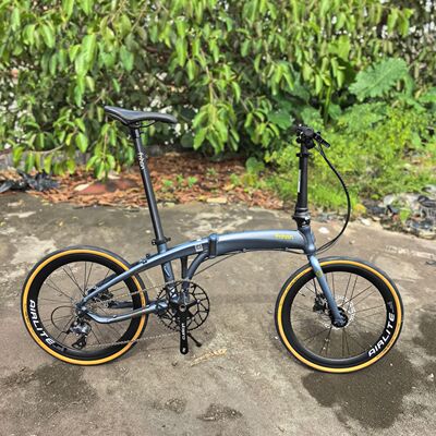 fnhon风行专卖店20寸铝合金新款海豚架LDG2018碟刹禧码诺10速升级