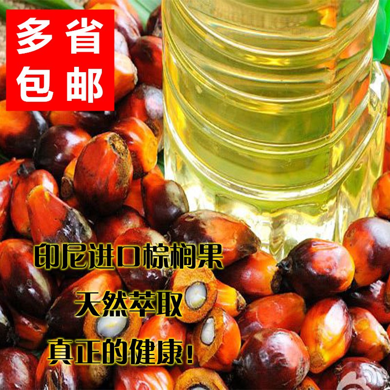 佛堂供佛长明灯液体酥油灯座纯铜油灯莲花供佛灯佛前香油家用油灯