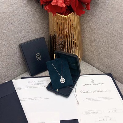 harrywinston满钻项链