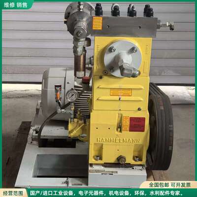 可维修HAMMELMANN哈莫尔曼柱塞泵 高压清洗泵德国哈默尔曼高