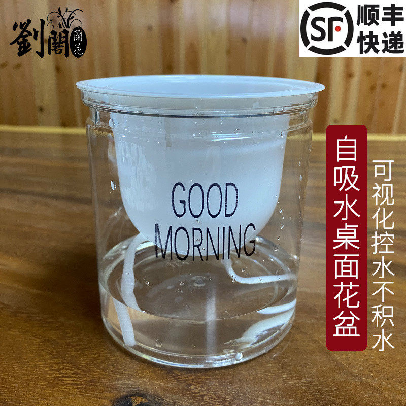 刘阁兰花苗 懒人自动吸水水培花盆 透明文心兰专用免浇水树脂花盆