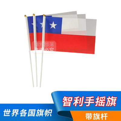 智利手摇旗8号14*21cm