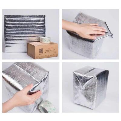 Aluminum Foil Cooler Bag Insulation Folding Picnic Portable